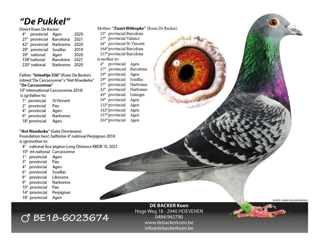 Kwekers op rust – De Backer Koen – Hoevenen (B)