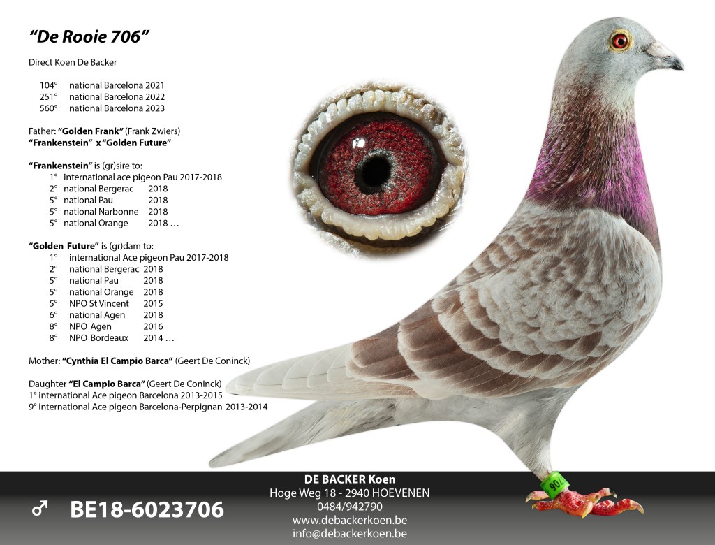 Foto’s – De Backer Koen – Hoevenen (B)